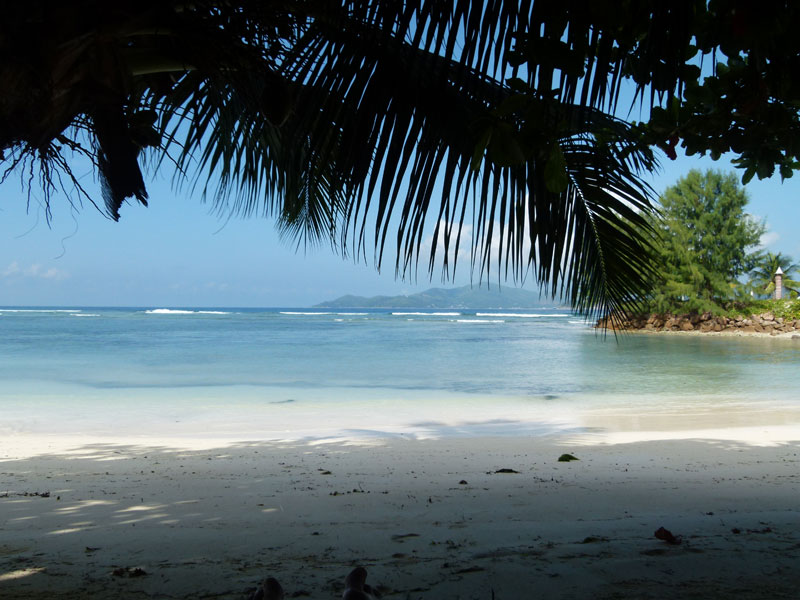 Boyzz in the Seychelles